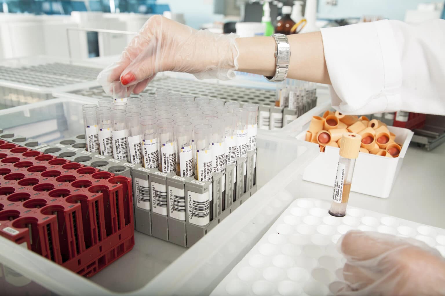 Comprehensive Functional Lab Testing - Rothman Health Solutions