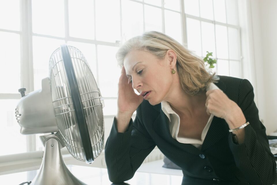 Riding the Menopause Wave: An Unfiltered Dive into the Hot Flash ...